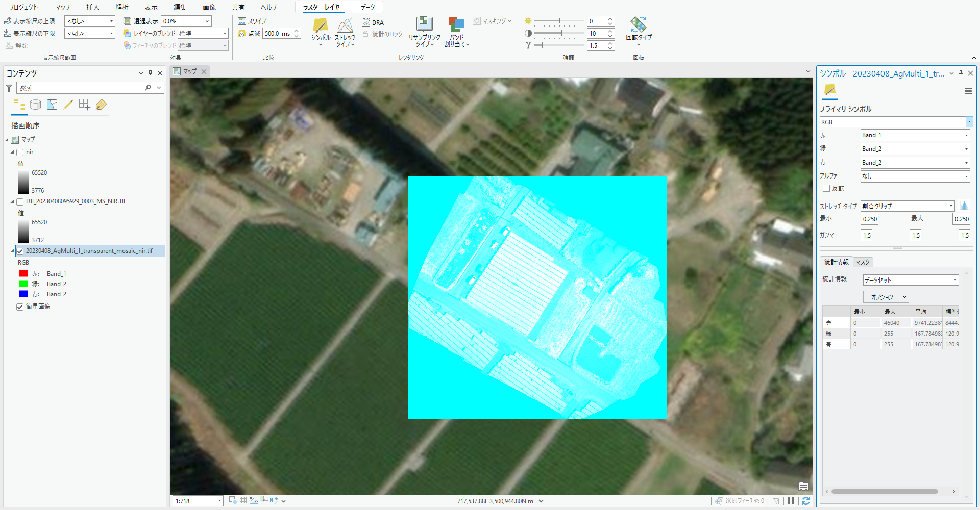 ArcGISを使ってRGB画像を単バンドのグレースケールへ変更する - お茶めいと