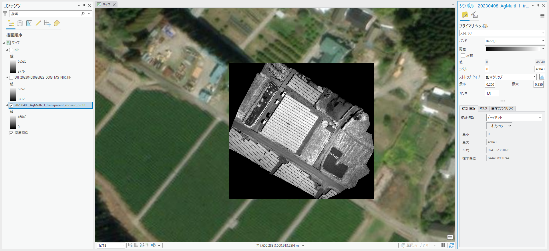 ArcGISを使ってRGB画像を単バンドのグレースケールへ変更する - お茶めいと